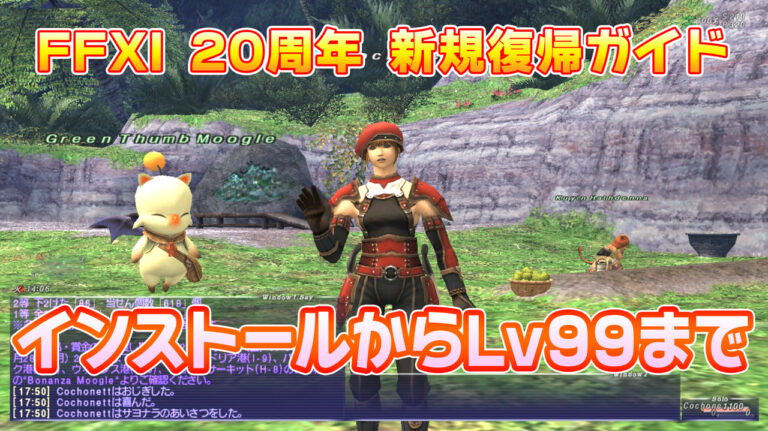 【FF11】FFXI 祝20周年！新規・復帰向けガイドまとめ～インストールからLv99まで | トンでもなく日々是好日