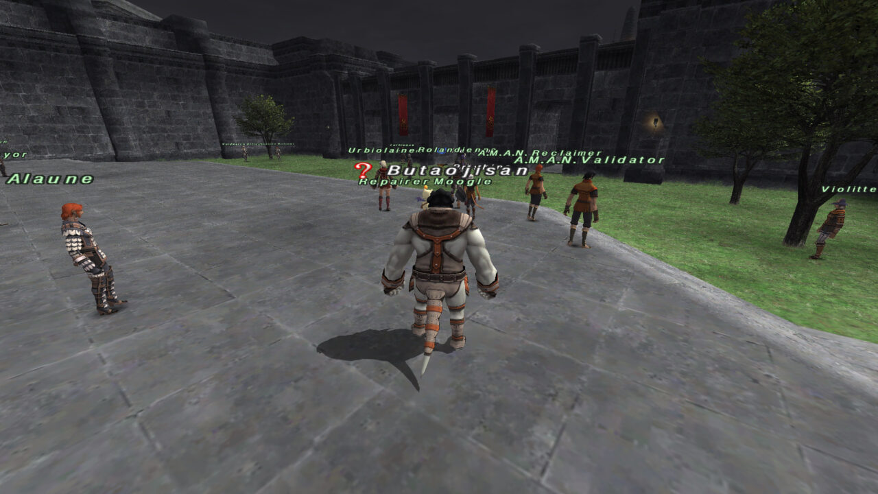 【FF11】FFXI 夏のフェイスゲットキャンペーン | トンでもなく日々是好日